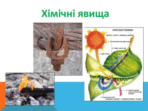 Явища природи Фізичні явища їх різноманітність Урок 11