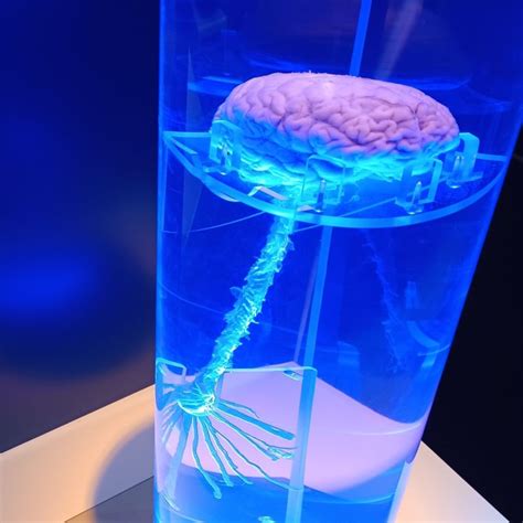 Demetrious Lloyd On Linkedin Data Wellness Dataanalytics Businessintelligence