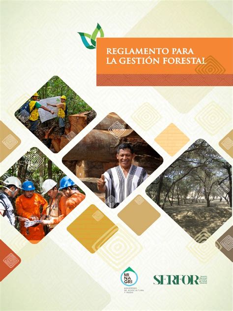 Reglamento Para La Gestion Forestal Cita Los Bosques