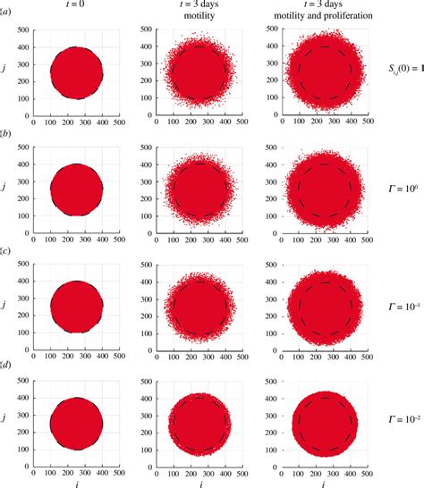 Discrete And Continuous Mathematical Models Of Sharp Fronted Collective Cell Migration And