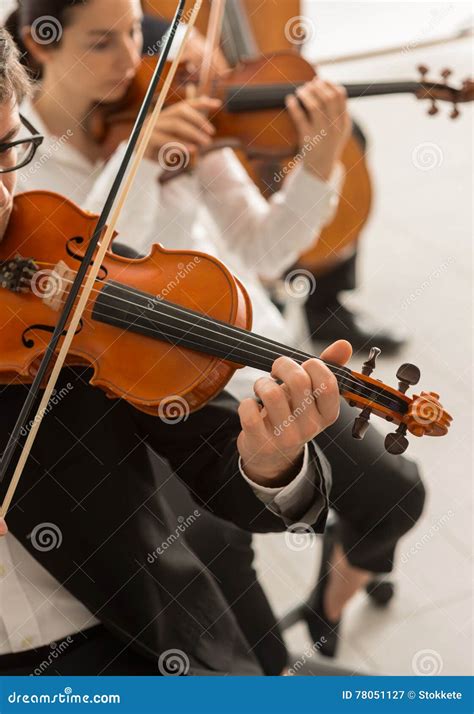 Orchestra String Section Performing Stock Image Image Of Music
