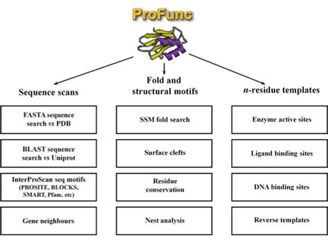 Profunc From Protein Structure To Function With Bioinformatics