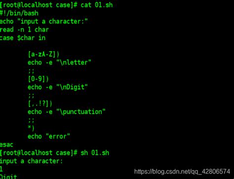 shell编程中的case in语句 shell case in 多个值 csdn博客