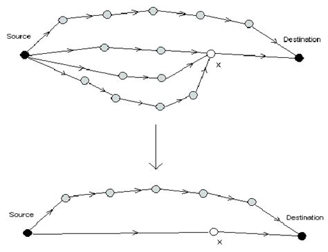 Braided Multipath Case Download Scientific Diagram