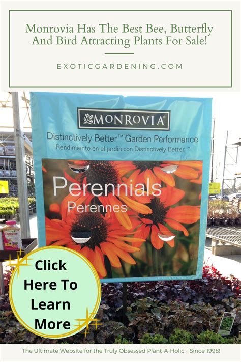 Monrovia Has The Best Bee Butterfly And Bird Attracting Plants For