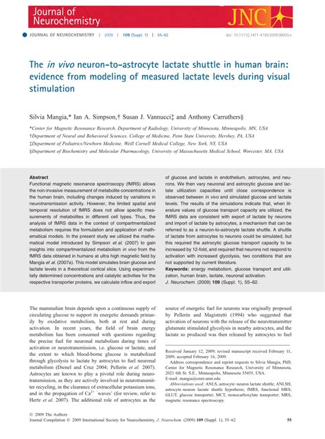 Pdf Lactate Shuttle From Neurons To Astrocytes