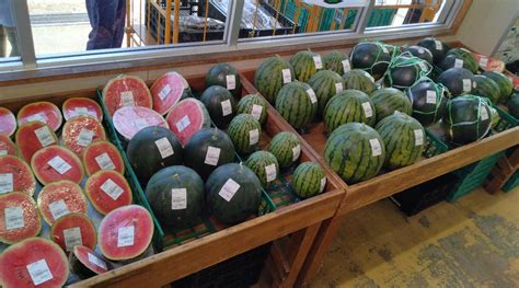 涼夏を求めて海老名グリーンセンター JAさがみ