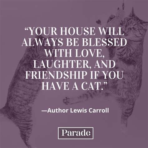 Cat Obsession Quotes