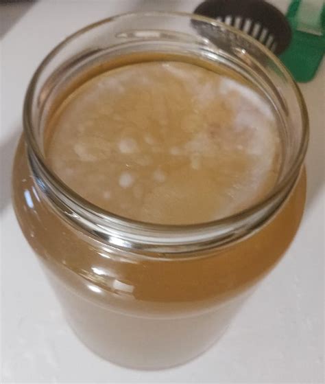 Hi D How Does This Two Week Old Scoby Look For You Rkombucha
