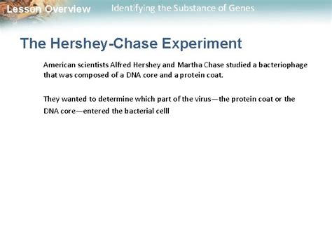 Lesson Overview 12 1 Identifying The Substance Of