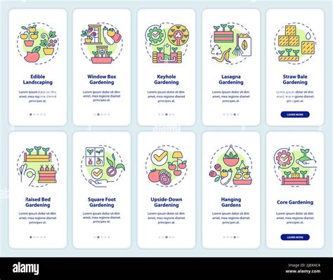 Gardening Methods Onboarding Mobile App Screen Set Stock Vector Image And Art Alamy