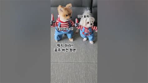 찍지 마라 코믹 버전 장군이와 공주 냥냥사랑 Youtube