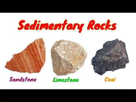 What Are Types Of Sedimentary Rocks