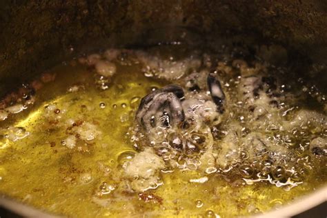 Pasé Una Semana Comiendo Bichos Para Probar El Alimento Del Futuro