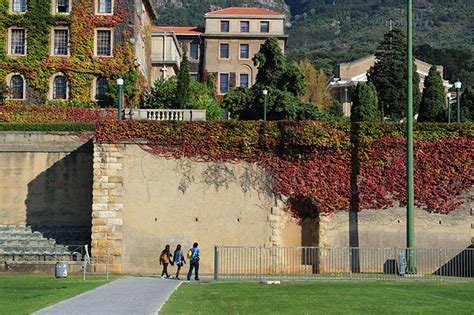 Quick Facts About Uct Uct News