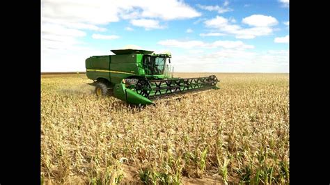 Wheat Harvest Youtube