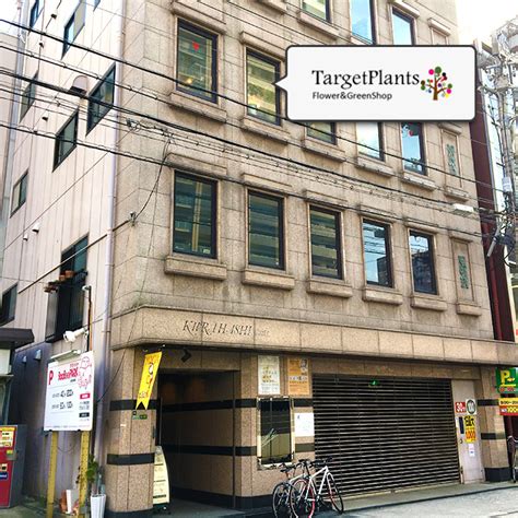 厳選大阪で観葉植物を買うならココおすすめの観葉植物専門店3選1 bakuBLOG