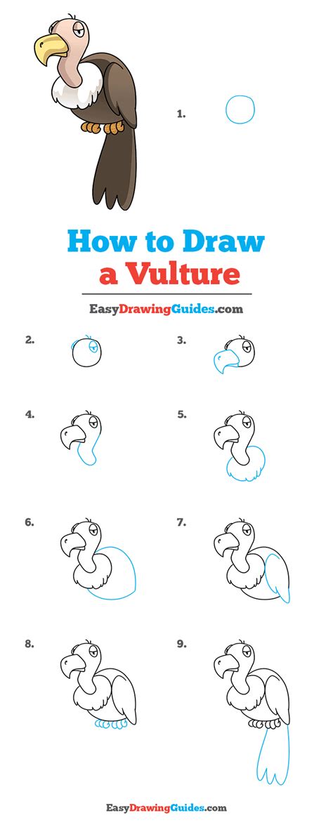 How To Draw A Vulture Really Easy Drawing Tutorial
