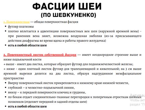1 Передний отдел шеи