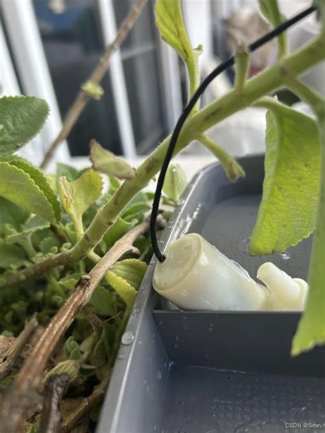 基于arduino的植物浇水系统arduino自动浇花系统 Csdn博客