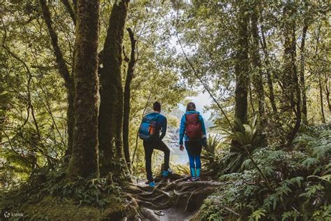 Milford Track Day Walk Experience Klook