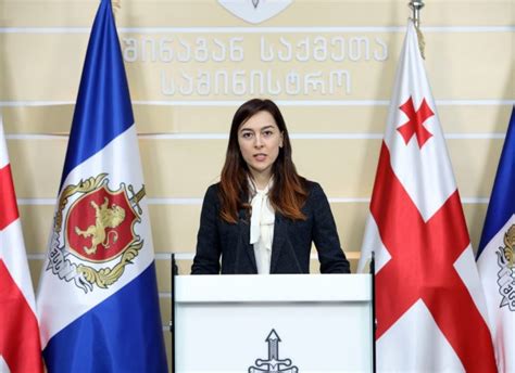 ნინო ცაციაშვილი პოლიციამ გამოძიება სავარაუდო დანაშაულის 6 ფაქტზე