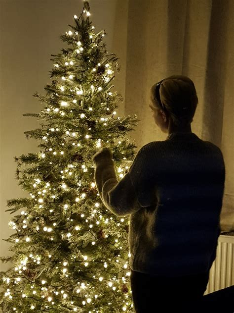 Navidad Árbol De Silueta Foto Gratis En Pixabay Pixabay