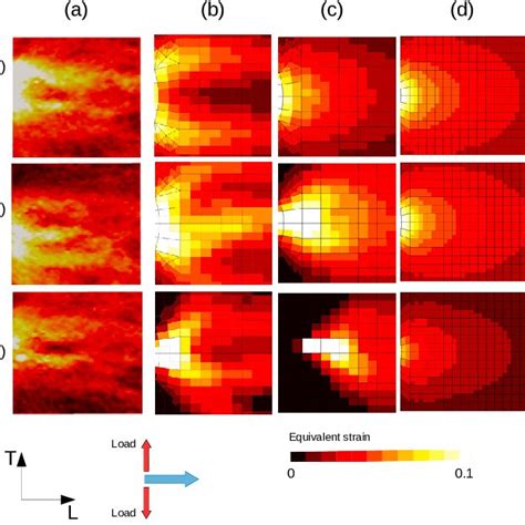 Incremental Von Mises Equivalent Strain Field In The T L Plane Of Roi