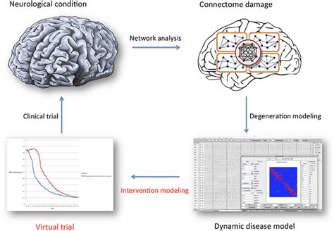 Virtual Neuronal Network Modeling Amsterdam Umc Eeg Lab