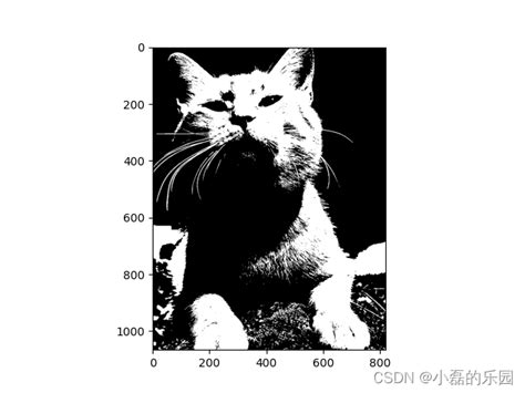 数字图像二值化的几种实现方式 img binary csdn博客
