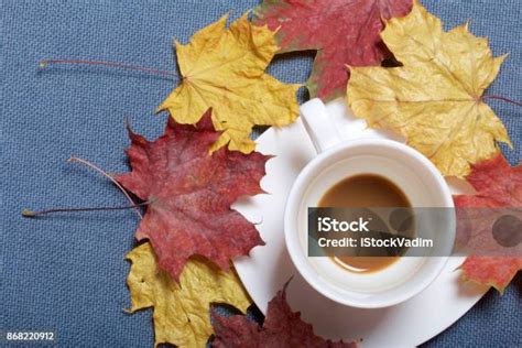 승인 되지 않은 커피 컵입니다 노란색과 빨간색의 타락 한가 잎 표면에 흩어져 있습니다 0명에 대한 스톡 사진 및 기타 이미지