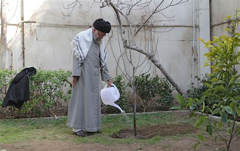 هر ایرانی سه درخت بکارد، کاشت یک میلیارد نهال در چهار سال محقق می‌شود
