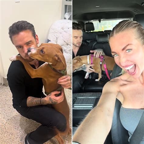 Who Is Liam Paynes Girlfriend Kate Cassidy 5 Things To Know About The