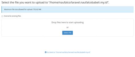tutorial import website laravel ke hosting cpanel cloudaja artikel