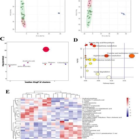 the liver metabolomics analysis in mice a and b pca score plots of