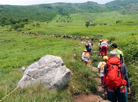 Hiking Mount Ibuki 伊吹山 Complete Guide Halfway Anywhere