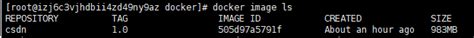 利用dockefile将py文件打包为docker镜像py文件怎么到镜像文件里面去命令 Csdn博客