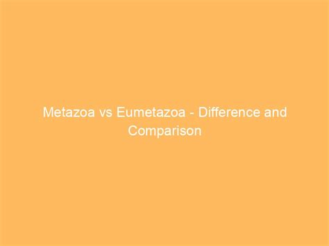 Metazoa Vs Eumetazoa Difference And Comparison Calculators And Differences