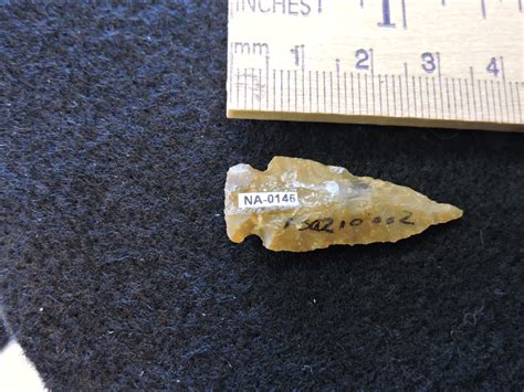 How Do You Use Imagej For Morphometric Analysis Of Projectile Points