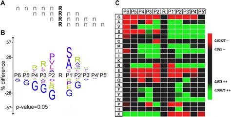 Thrombin Substrate Motif A Schematic Overview For Alignment Of