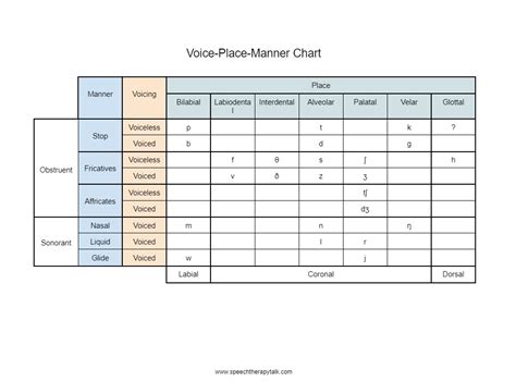 PVM Regular And Space To Chart Speech Therapy Talk Membership