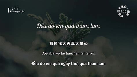 Vietsub Đều Do Em Quá Tham Lam 都怪我太贪心 Nhậm Hạ 任夏 伤感女版 Youtube