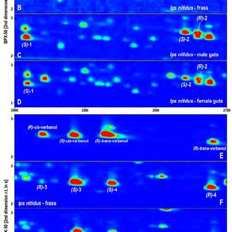 Reconstructed GC EAD Recording From Isolated Antennae Of Ips Nitidus In Download Scientific
