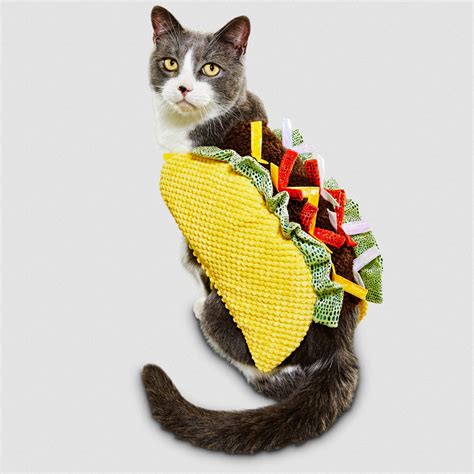 Taco Cat Costume