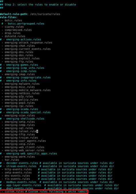 Suricata Ids Instalaci N Puesta En Marcha Y Primera Prueba Follow