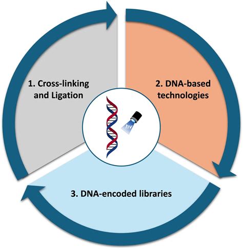 European Journal Of Organic Chemistry Vol 28 No 9 Chemistry Europe