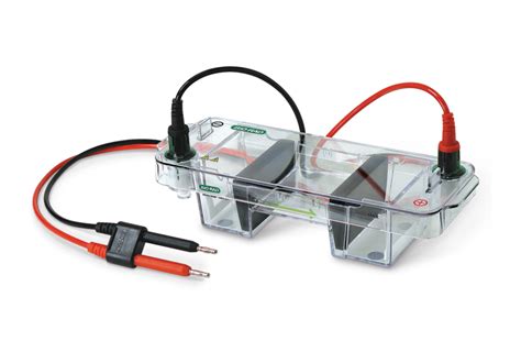 Mini Sub Cell Gt System For The Classroom Bio Rad