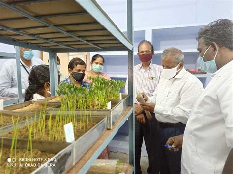 Department Of Seed Certification And Organic Certification