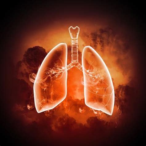 老人肺衰竭怎么办 39健康经验