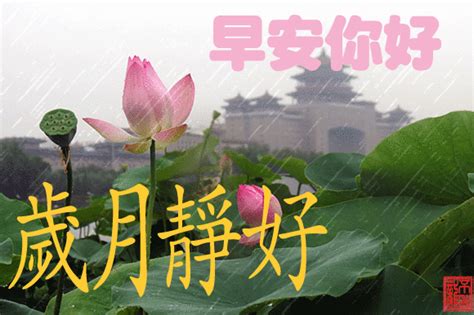 早上好，願我的問候帶給你快樂美好！祝你健康樣樣好！ 每日頭條